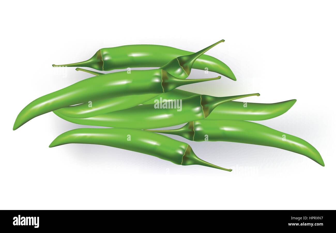 Fresh organic red chillies Stock Vector Images - Alamy