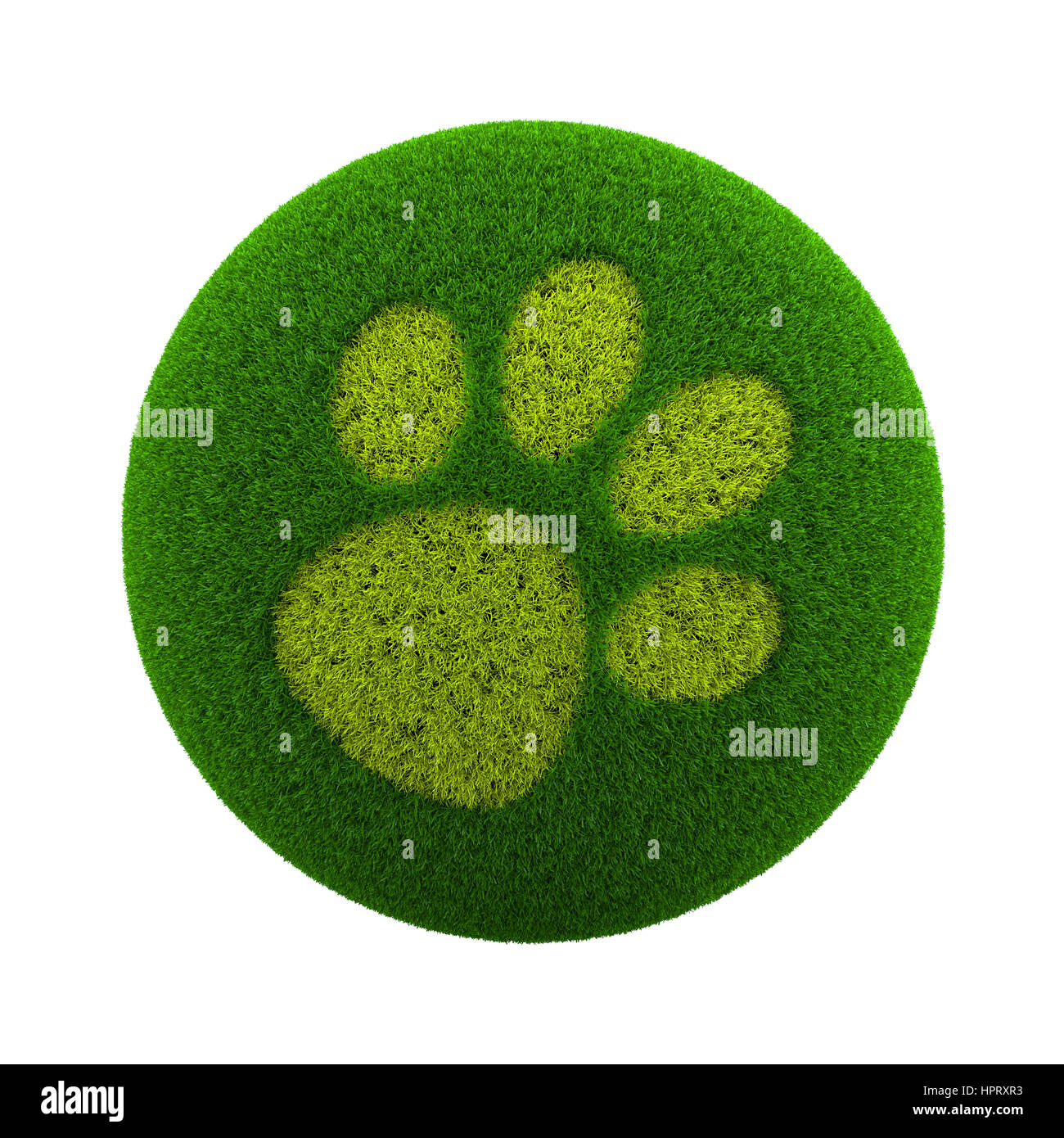 Dog footprint hi-res stock photography and images - Alamy