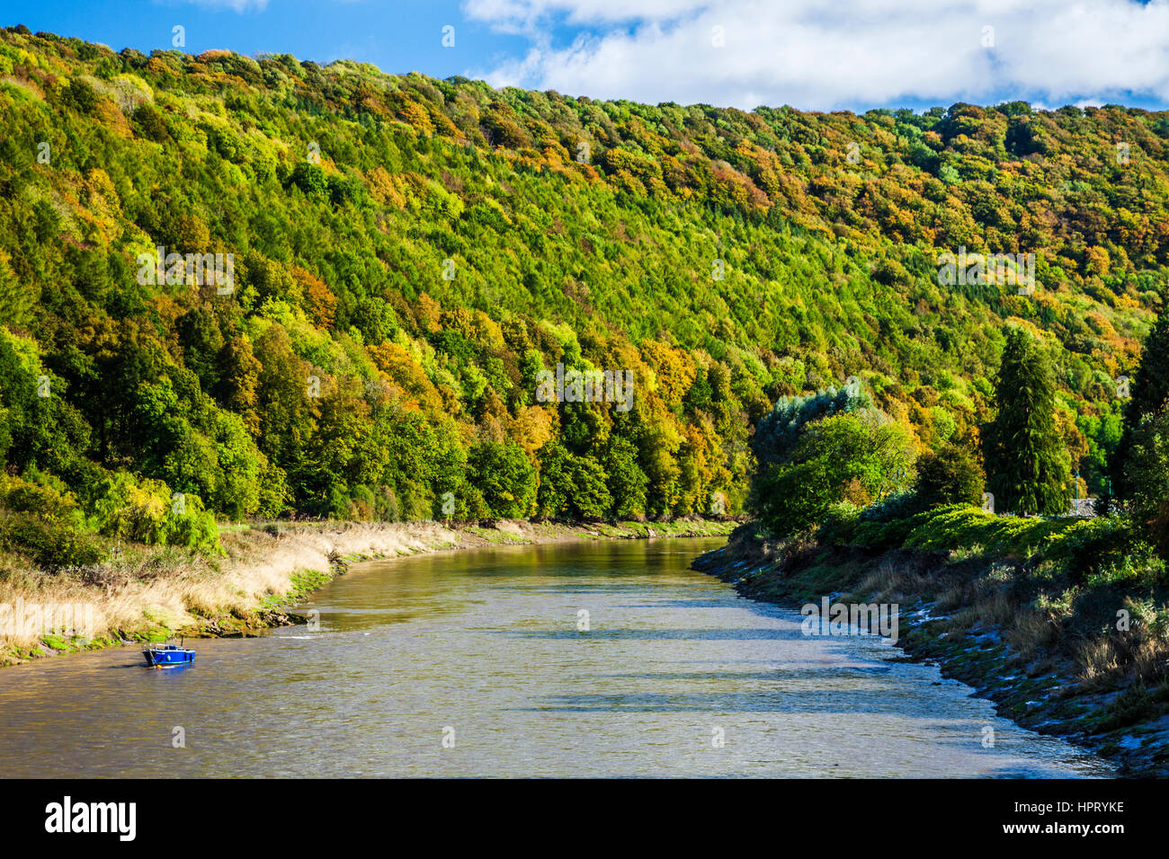 The river Wye nearTintern in Monmouthshire, Wales Stock Photo - Alamy