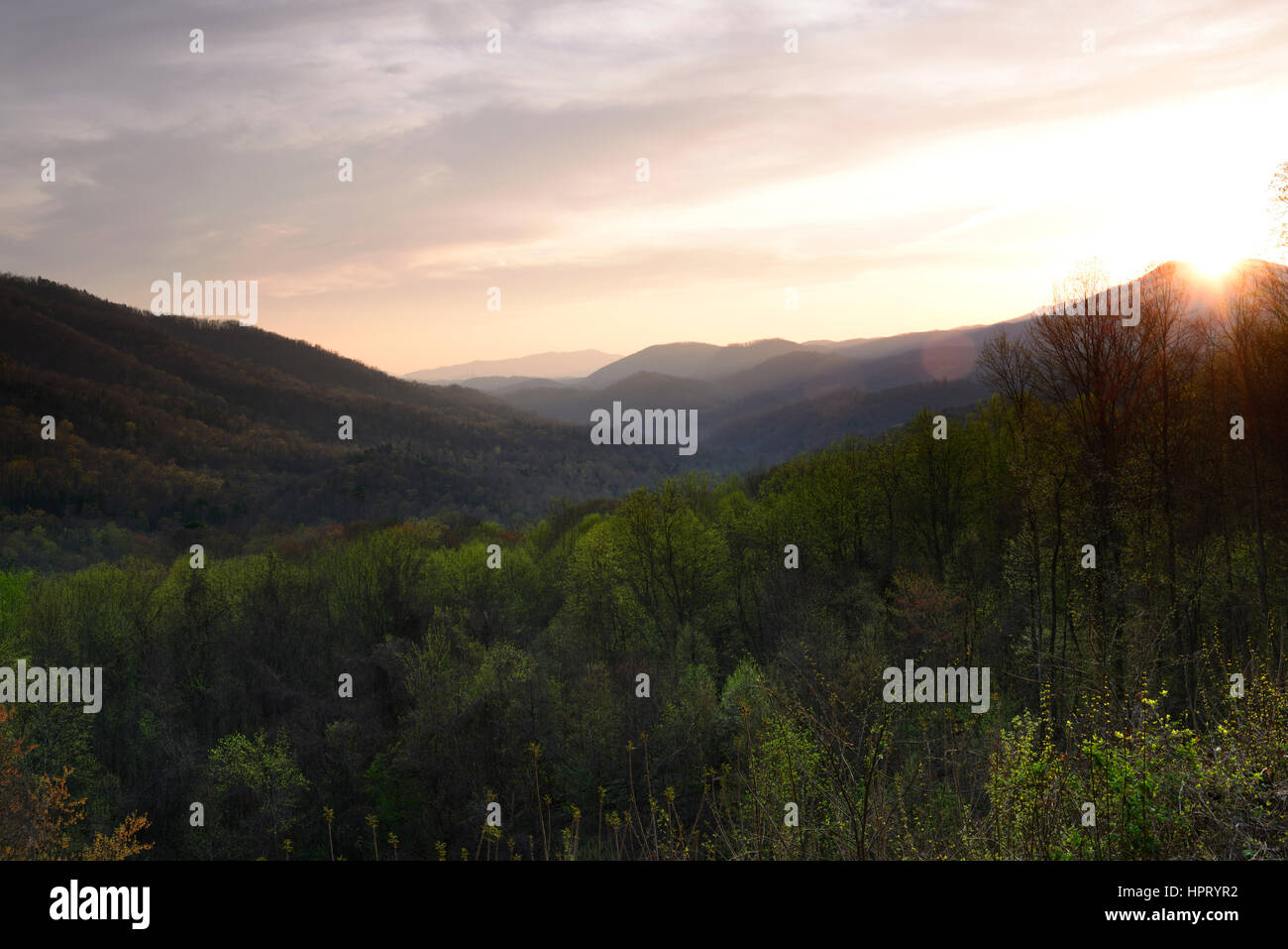 Sunset, Foothills parkway, scene, scenic, scenery, spring, green leaves ...