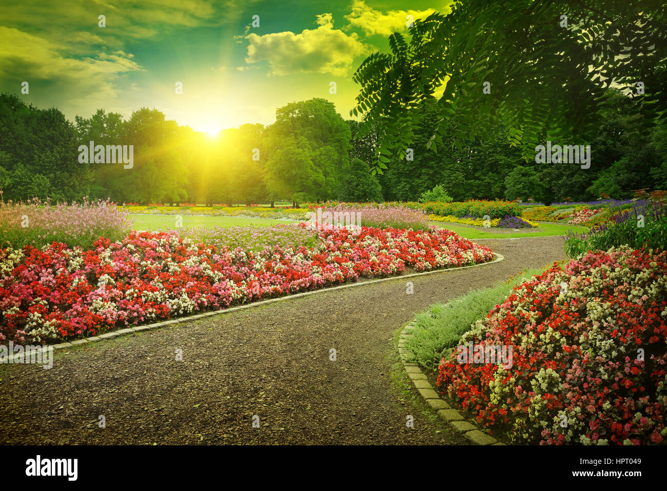 Sunset in a beautiful park Stock Photo - Alamy