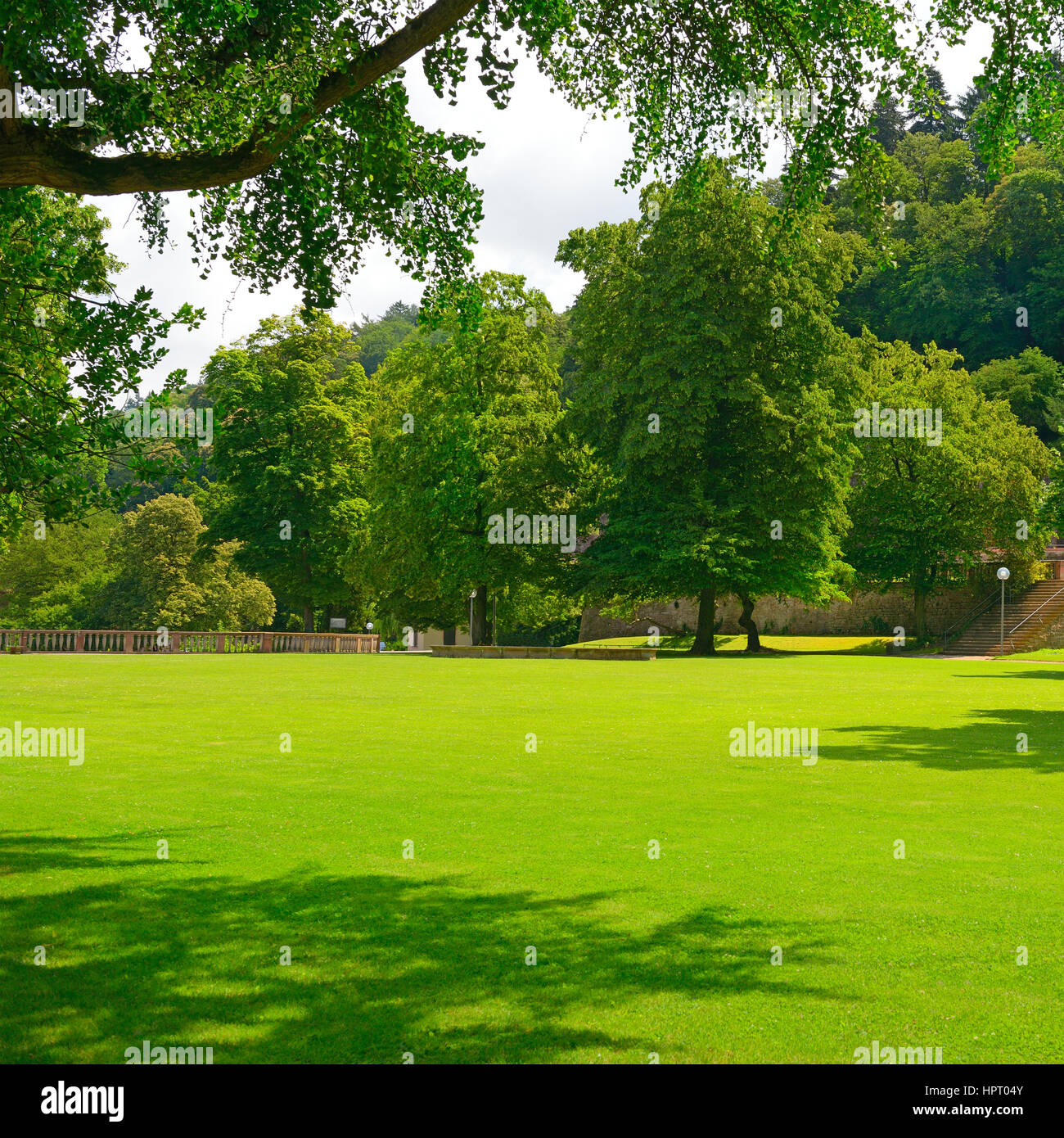 Beautiful meadow in the park Stock Photo - Alamy