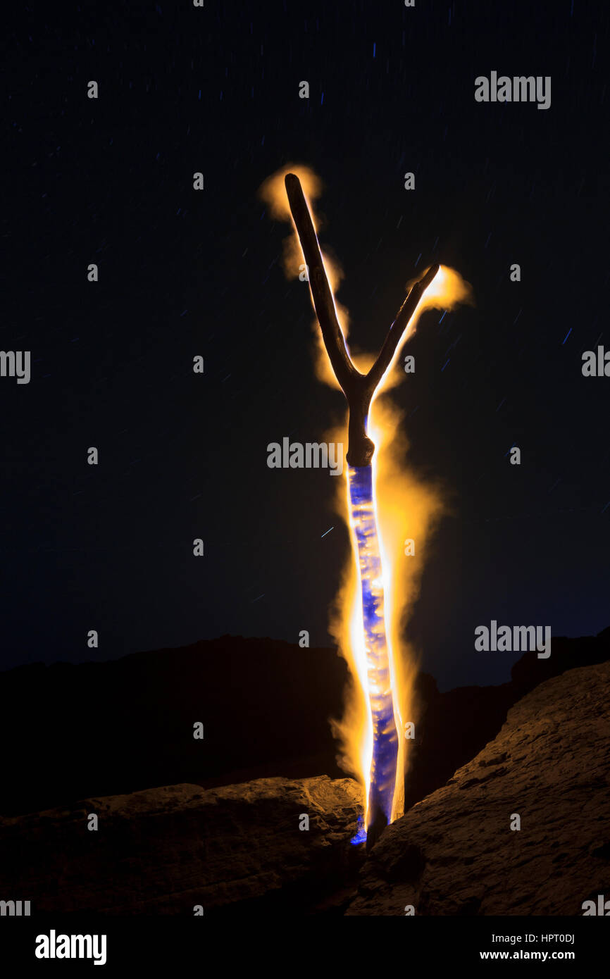 Trunk in flames Stock Photo - Alamy