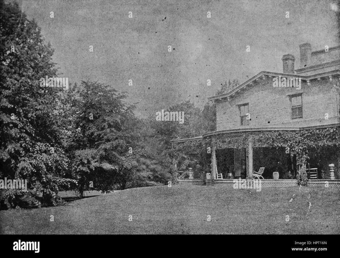 Suburban flower Black and White Stock Photos & Images - Alamy