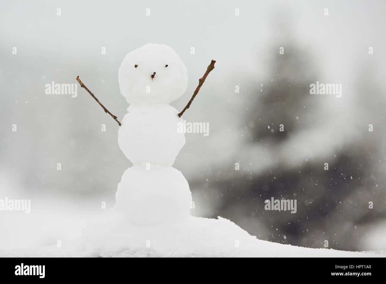 Nature in cold hi-res stock photography and images - Alamy