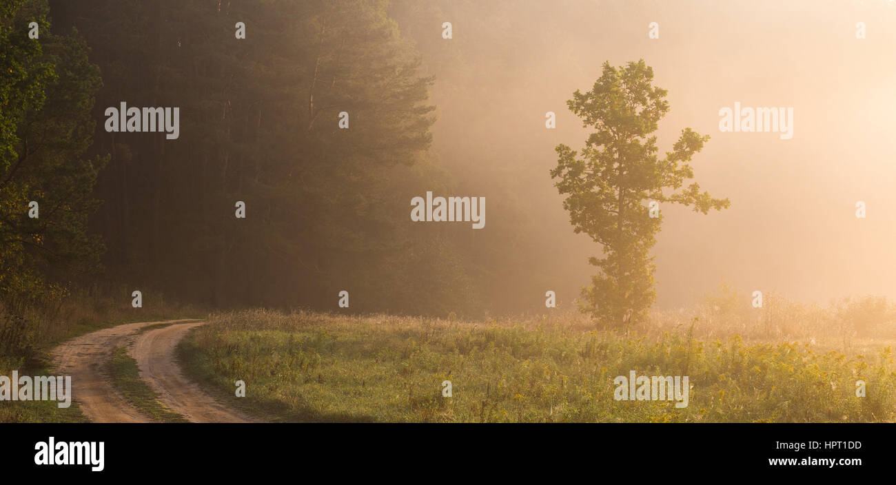 Summer morning scene on hi-res stock photography and images - Alamy