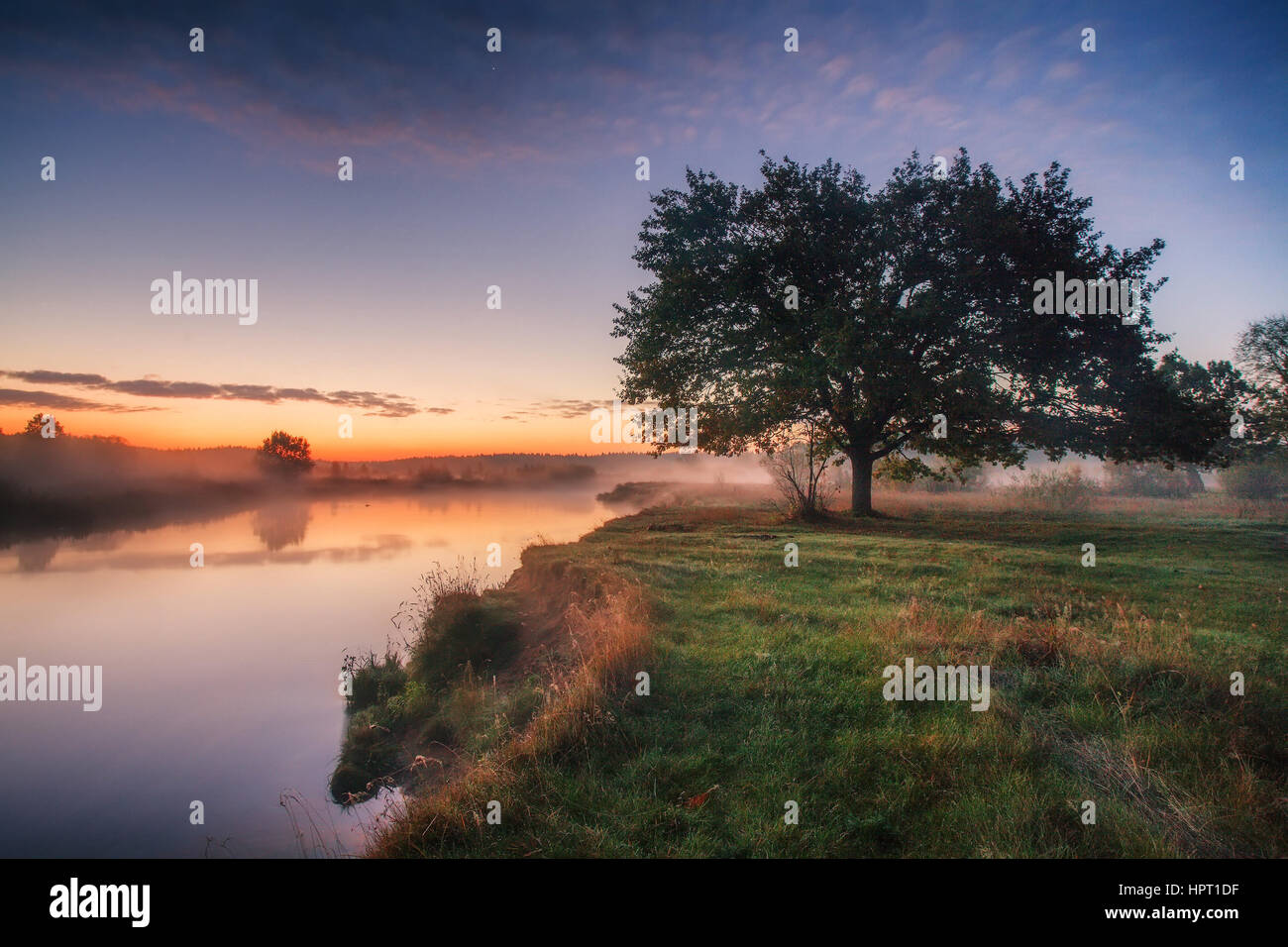 Spring dawn on the lake with dark blue sky Stock Photo - Alamy