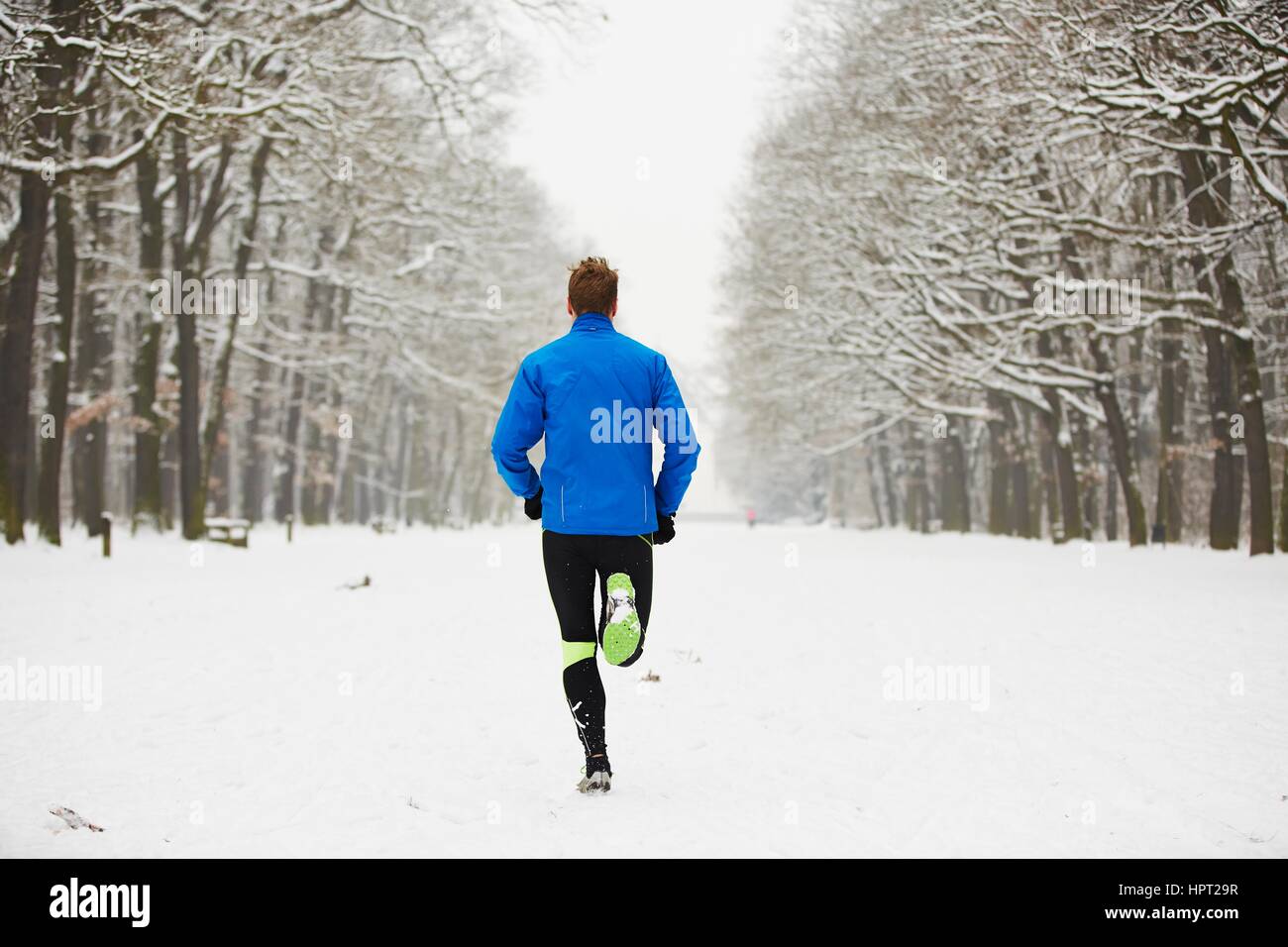 Young runner in winter jogging in park Stock Photo - Alamy