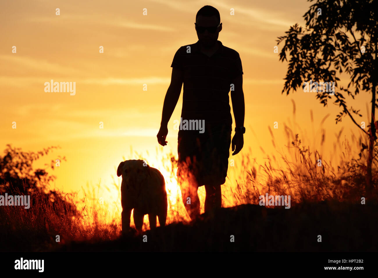 Labrador silhouette at sunset hi-res stock photography and images - Alamy