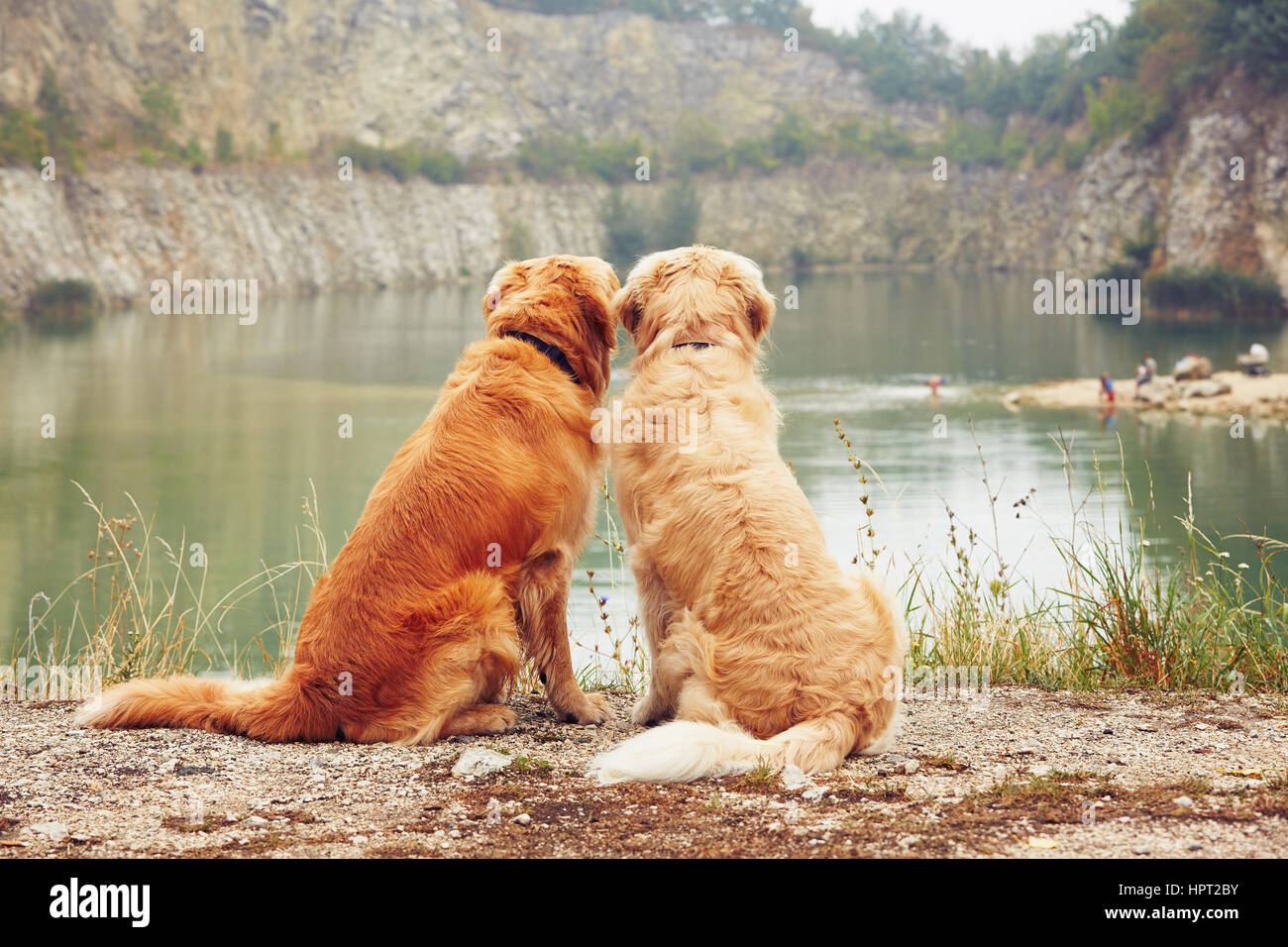 Two people swimming together hi-res stock photography and images - Alamy