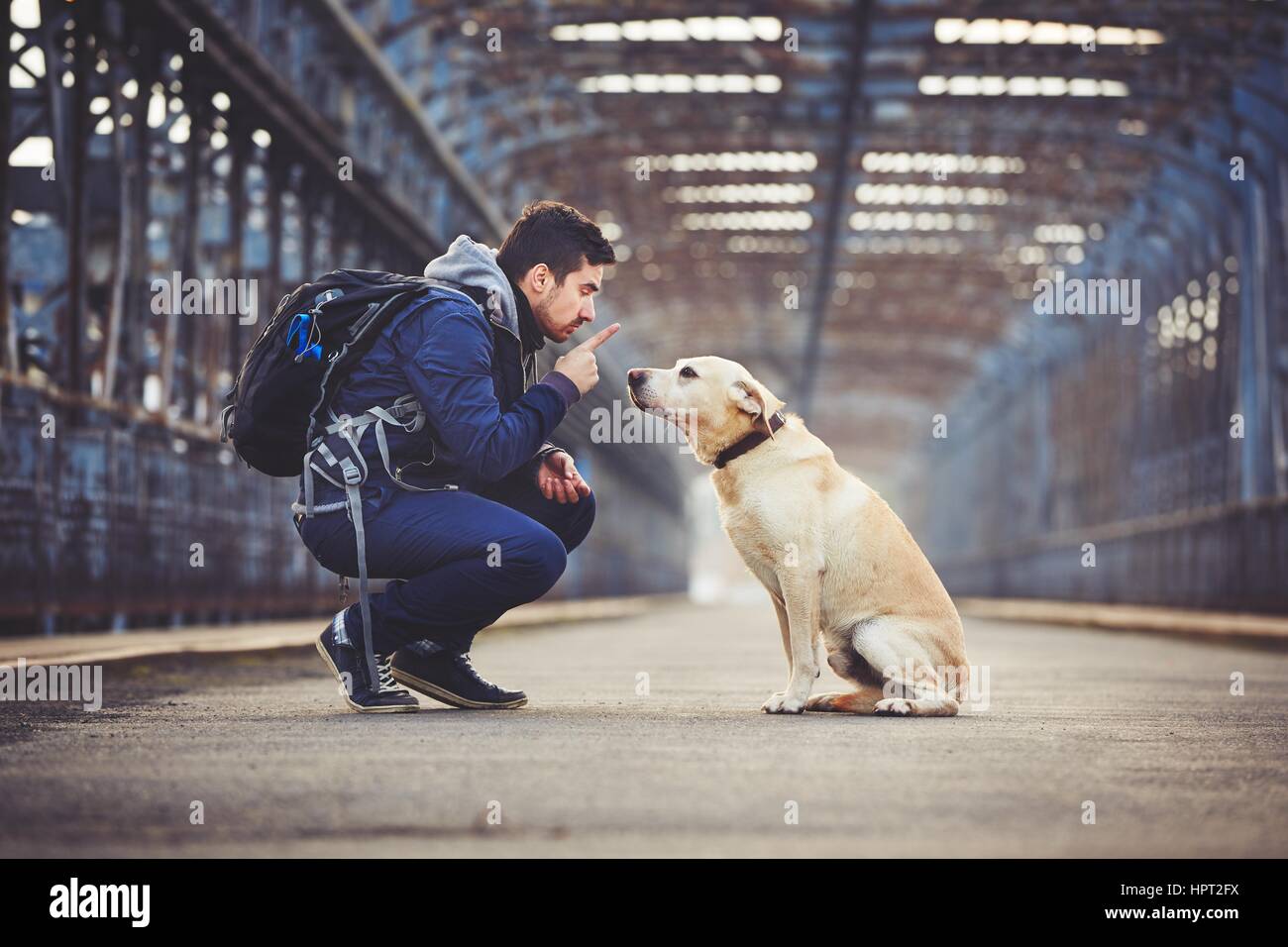 Man walking with his yellow labrador retriever on the old bridge Stock ...