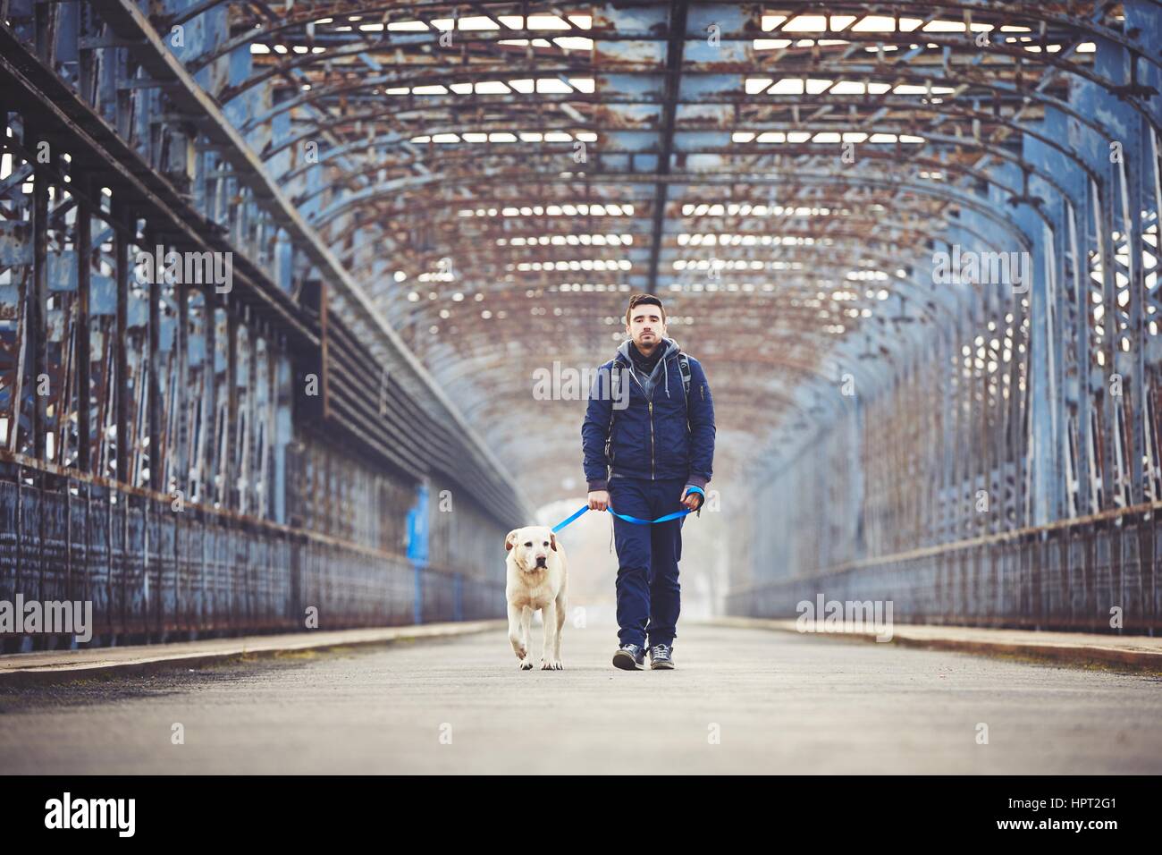 Man walking with his yellow labrador retriever on the old bridge Stock ...