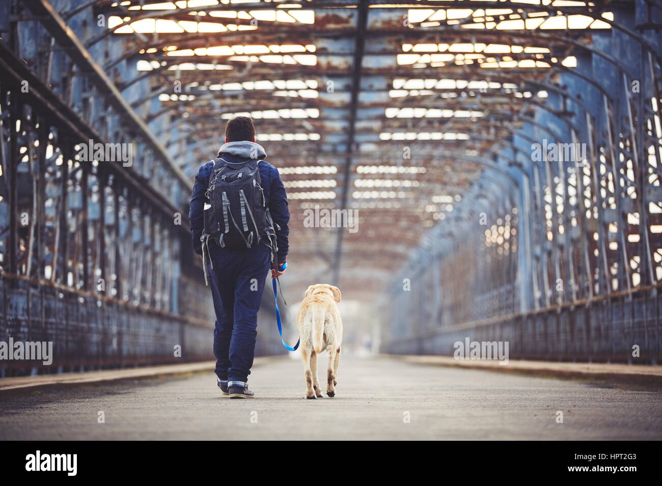 Man walking with his yellow labrador retriever on the old bridge Stock ...