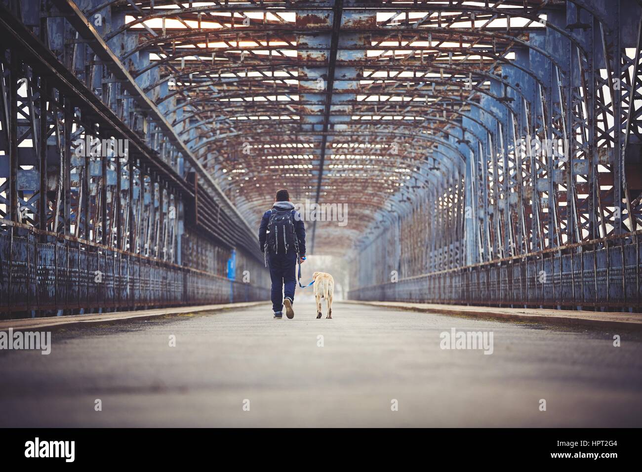Man walking yellow labrador dog hi-res stock photography and images - Alamy