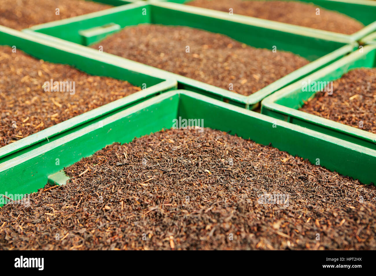 Tea box sri lanka hi-res stock photography and images - Alamy