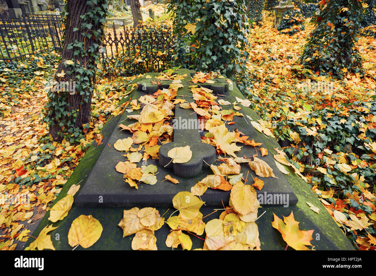 A gravestone at old cemetery in autumn Stock Photo - Alamy