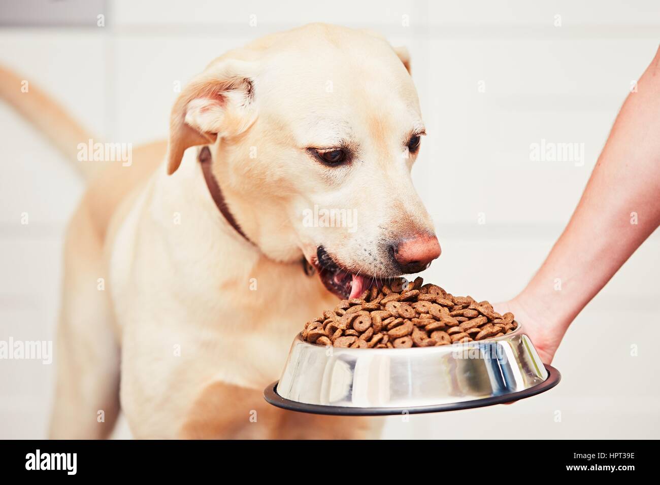 Feeding hungry people hi-res stock photography and images - Alamy