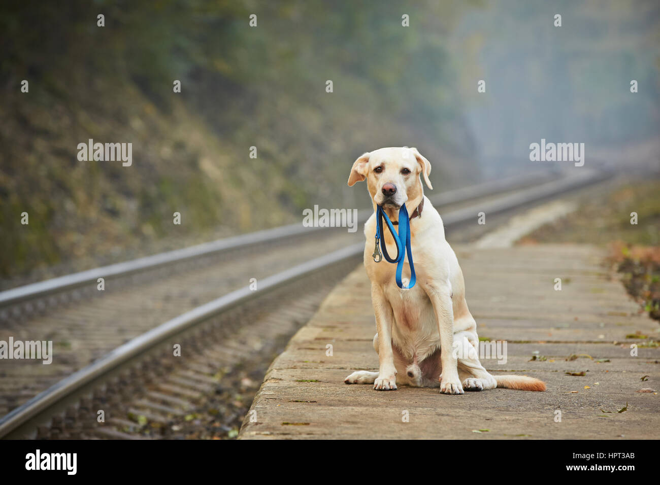 Platform walk hi-res stock photography and images - Alamy