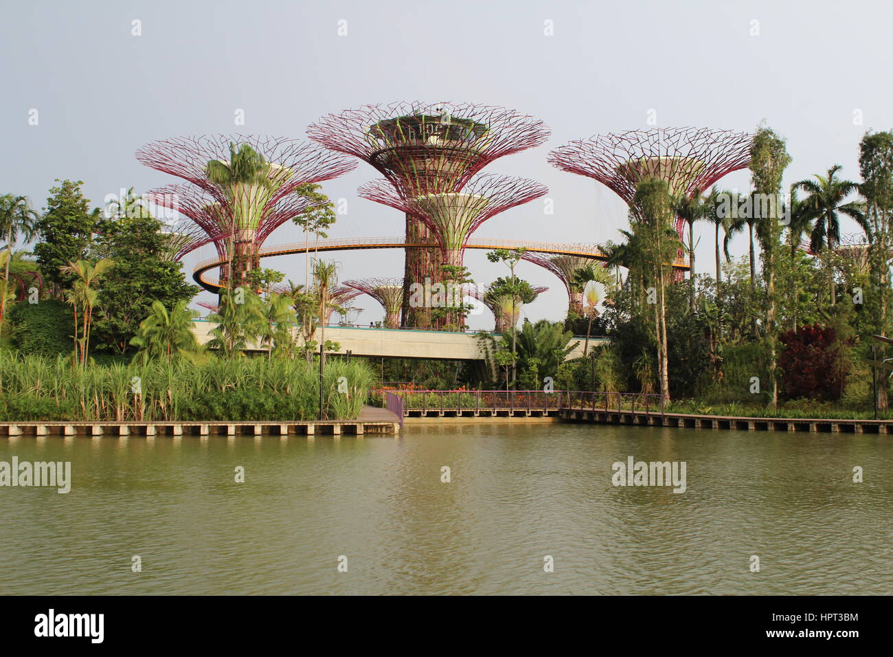 Modern flower structure in Gardens by the Bay, Singapore Stock Photo ...
