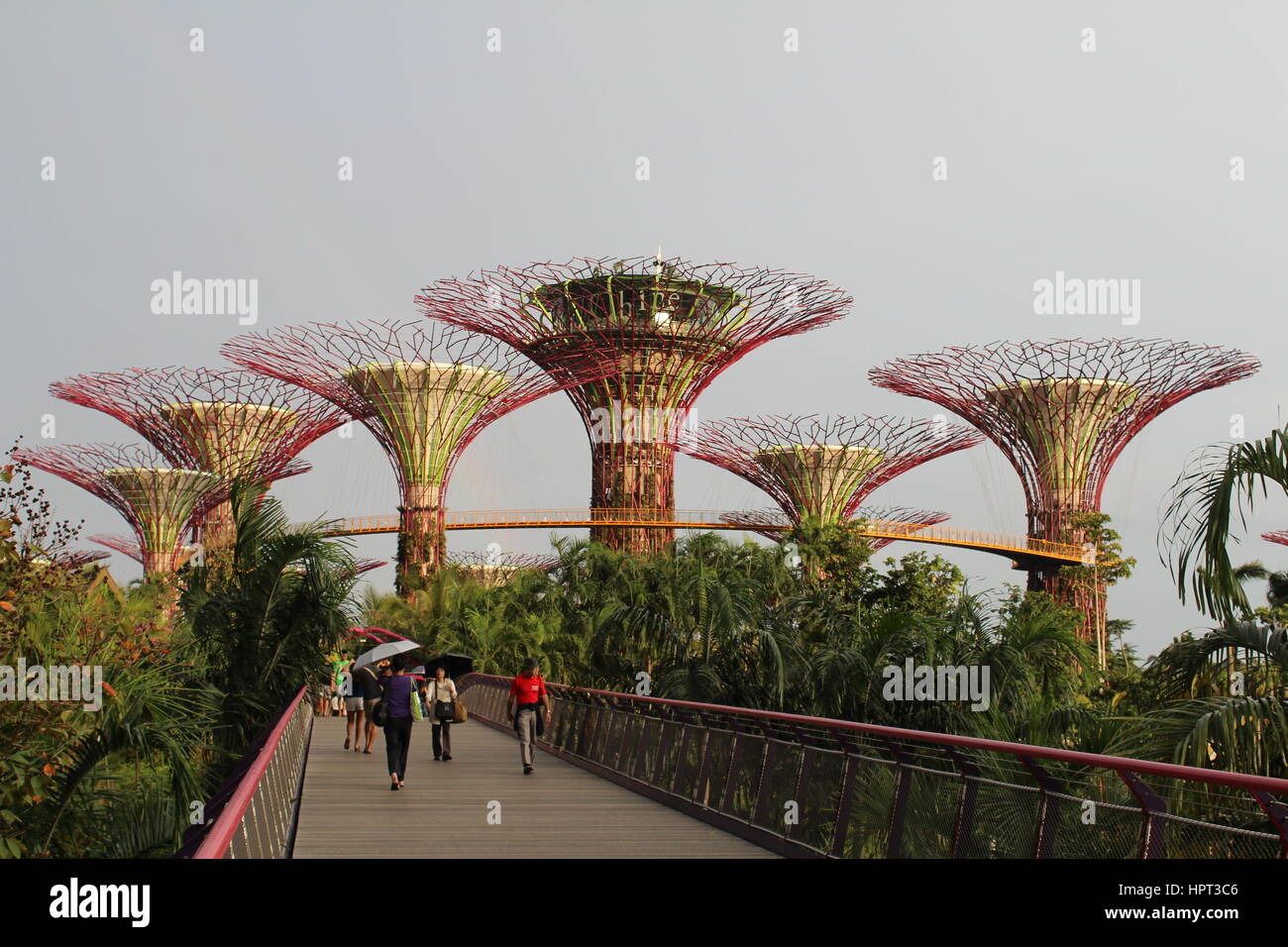 Modern flower hi-res stock photography and images - Alamy