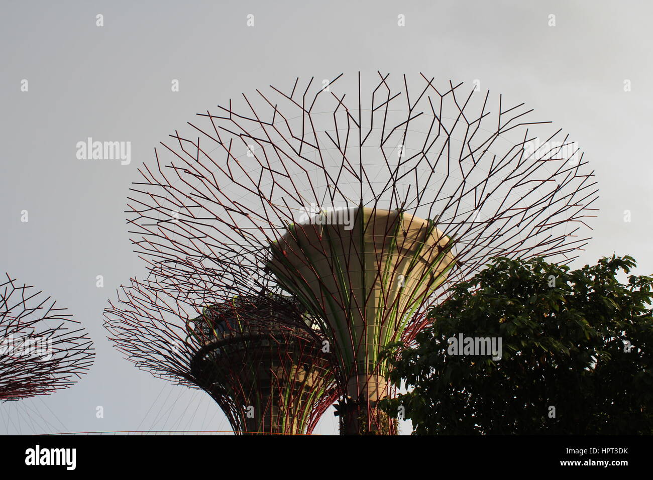 Modern flower structure in Gardens by the Bay, Singapore Stock Photo ...
