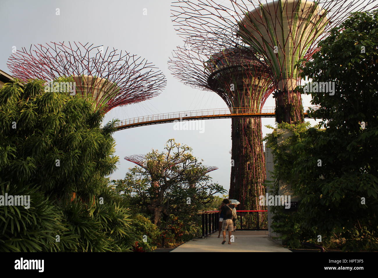 Modern flower structure in Gardens by the Bay, Singapore Stock Photo ...