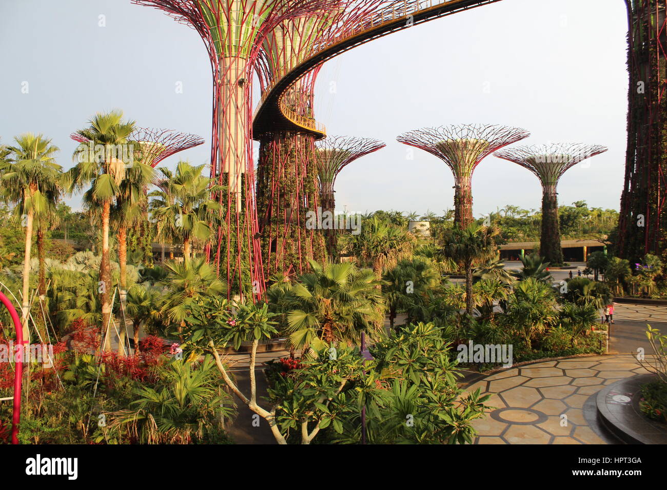 Modern flower structure in Gardens by the Bay, Singapore Stock Photo ...