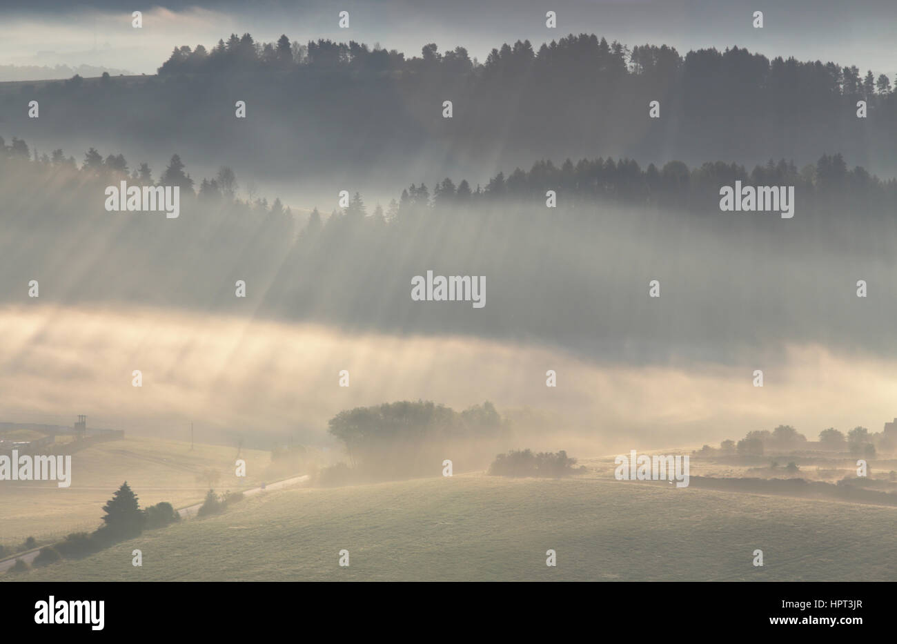 Sunlight rays shines through mist fog and forest in background Stock ...