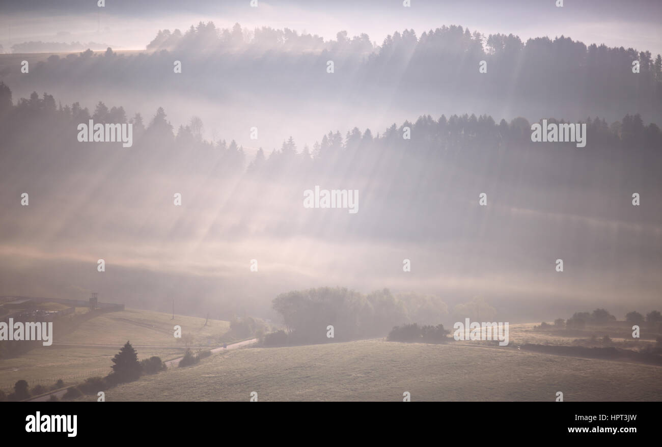 Evening sunlight shines hi-res stock photography and images - Alamy