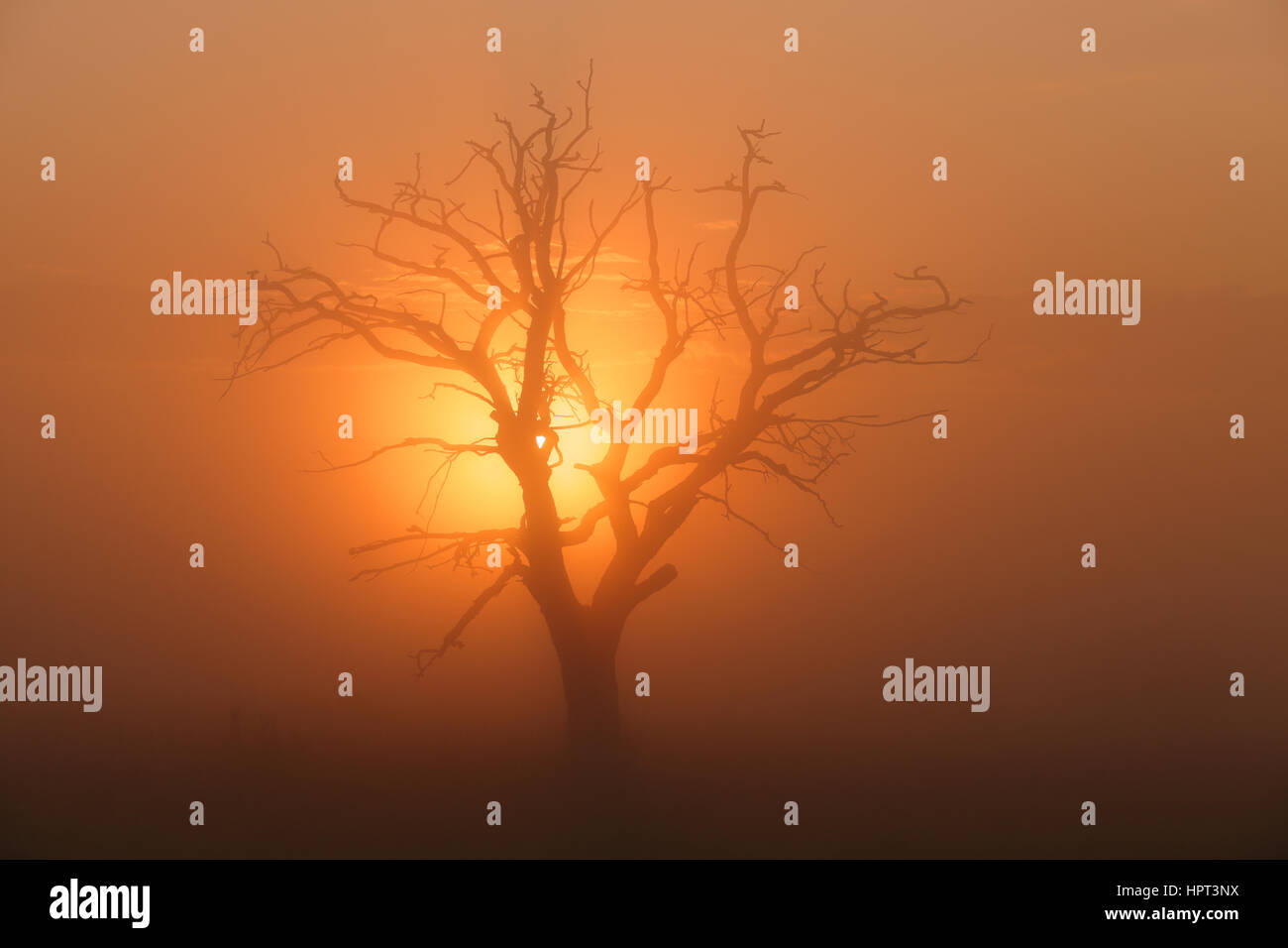 African evening sky hi-res stock photography and images - Alamy