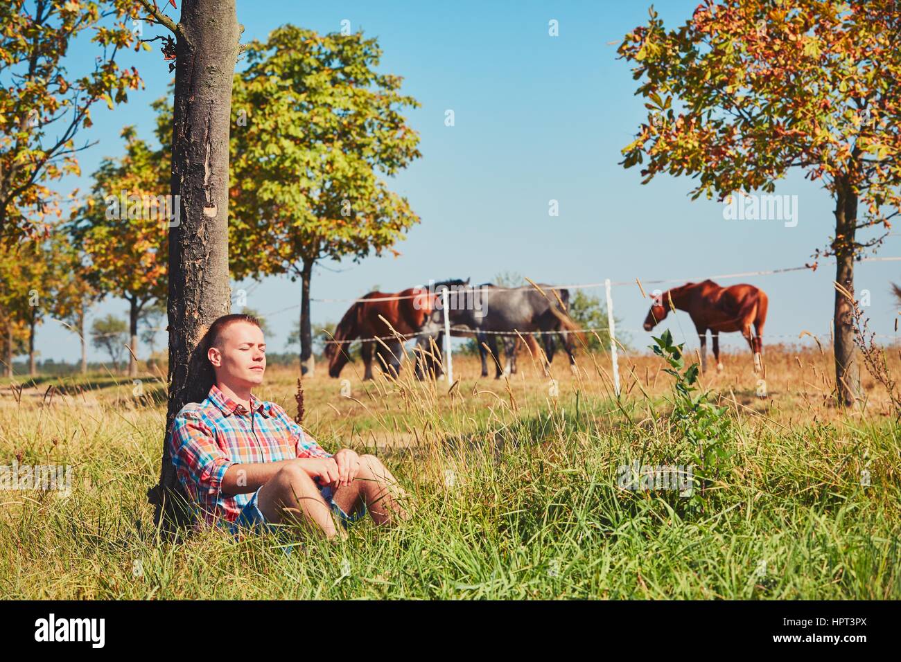 Summer time in nature. Happy man resting under the tree and watching horses Stock Photo - Alamy