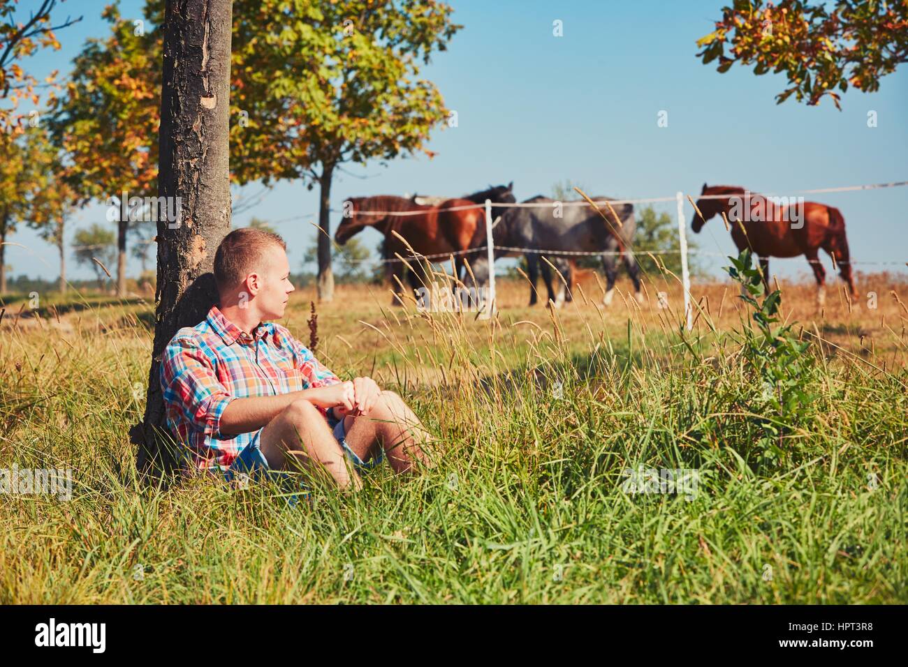 Man resting under tree hi-res stock photography and images - Alamy