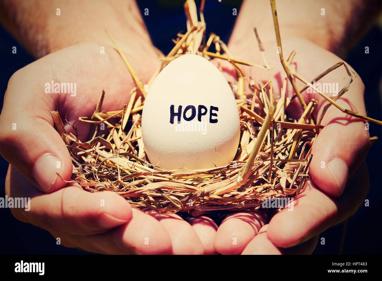 Symbols Of Hope EASTER MEANT TO BE A SYMBOL OF HOPE, RENEWAL, AND NEW