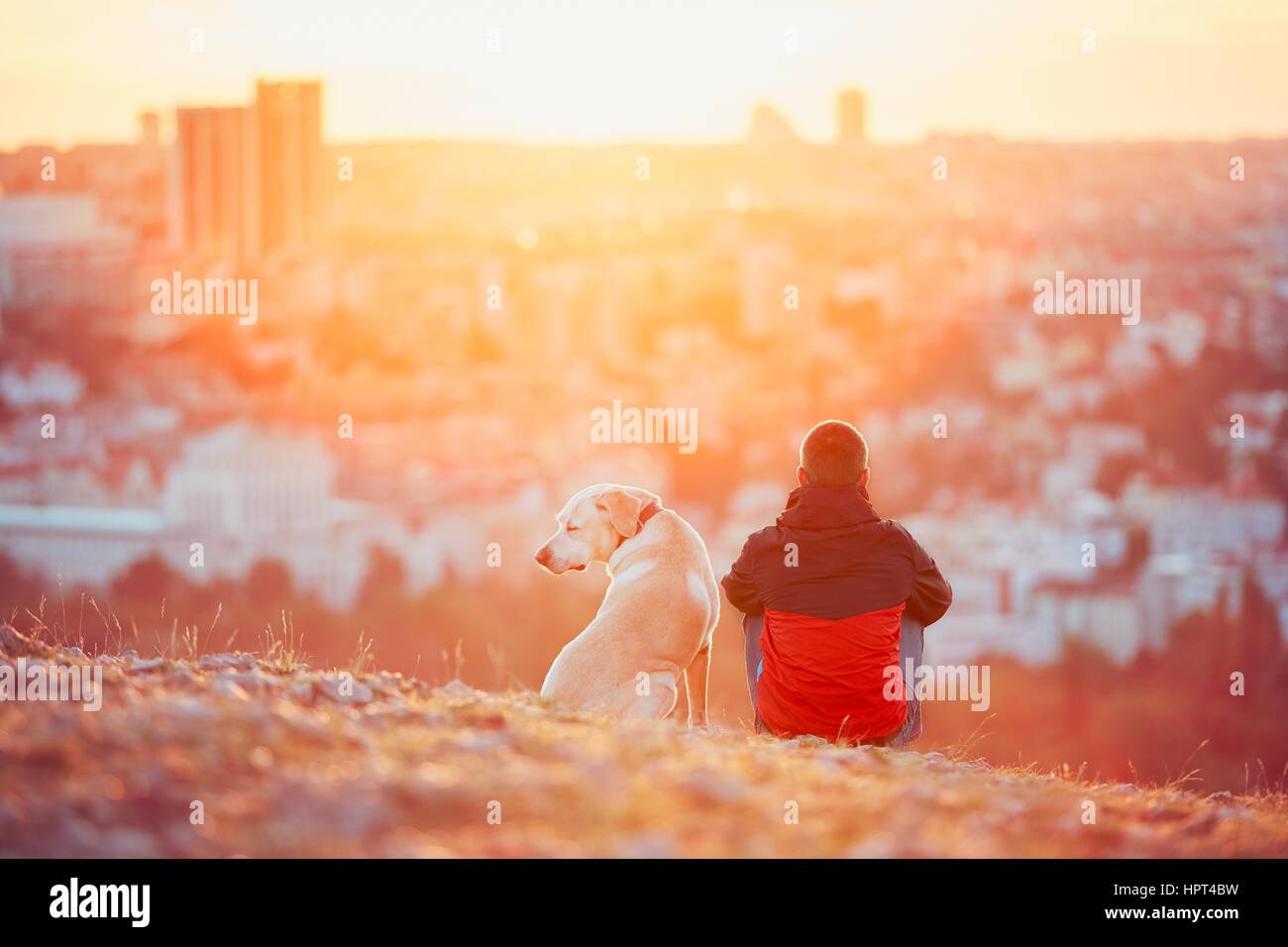 Dog looking at man and sunset hi-res stock photography and images - Alamy