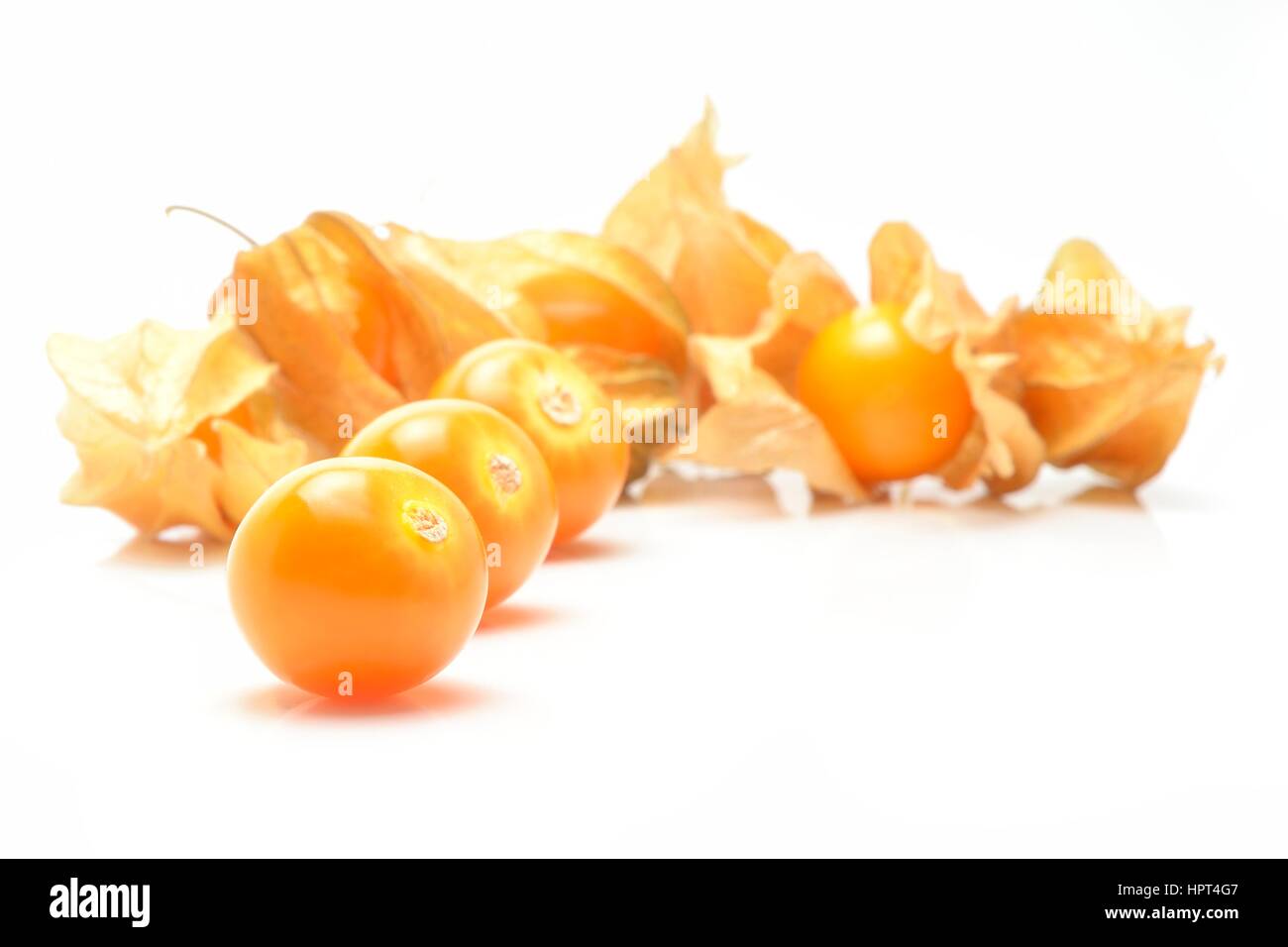 physalis isolated on white background Stock Photo - Alamy