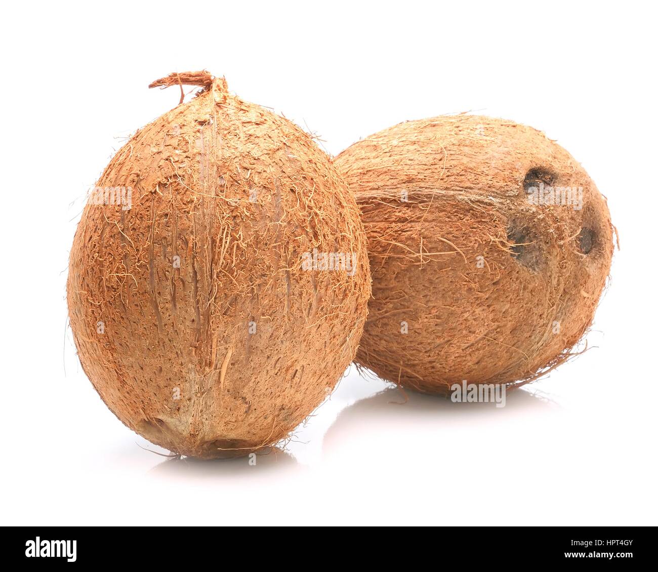 Cocos shell Cut Out Stock Images & Pictures - Alamy