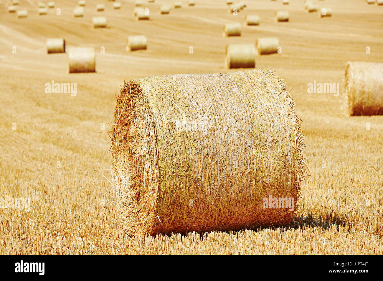 Stack of straw on field farming hi-res stock photography and images - Alamy