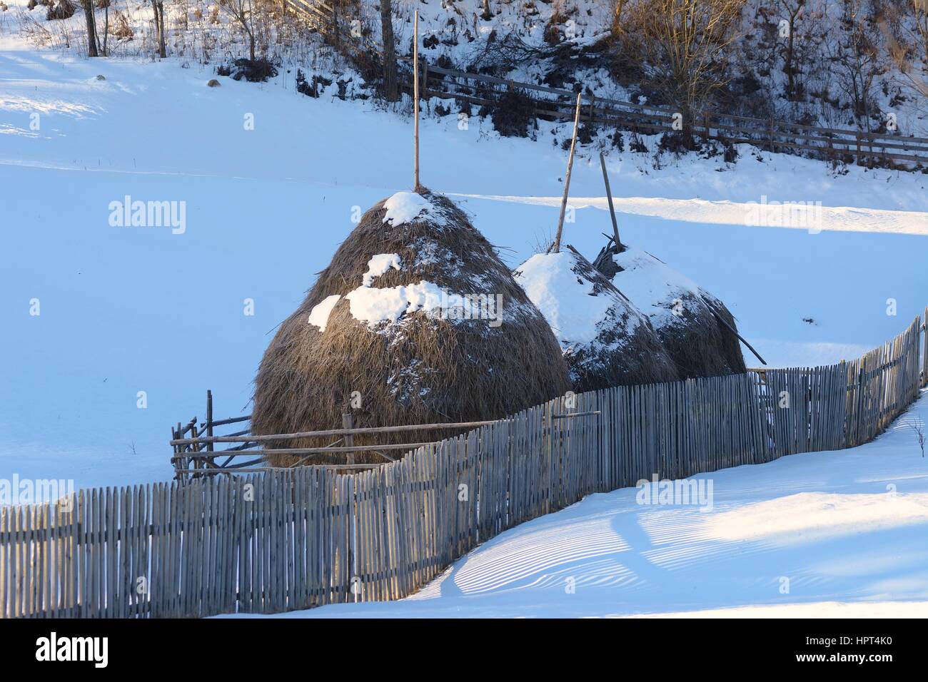 Haystack at dawn in winter mountains Stock Photo - Alamy