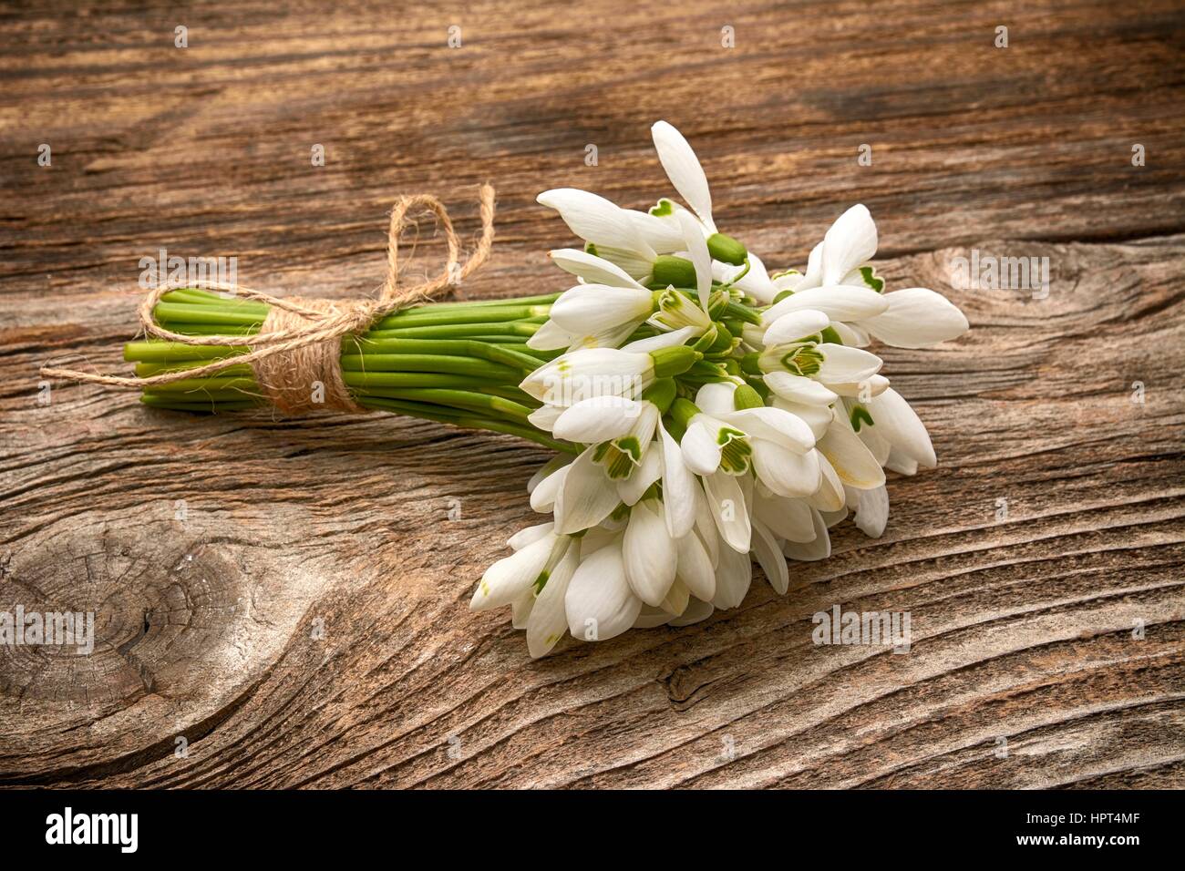 snowdrops bunch on wooden background Stock Photo - Alamy
