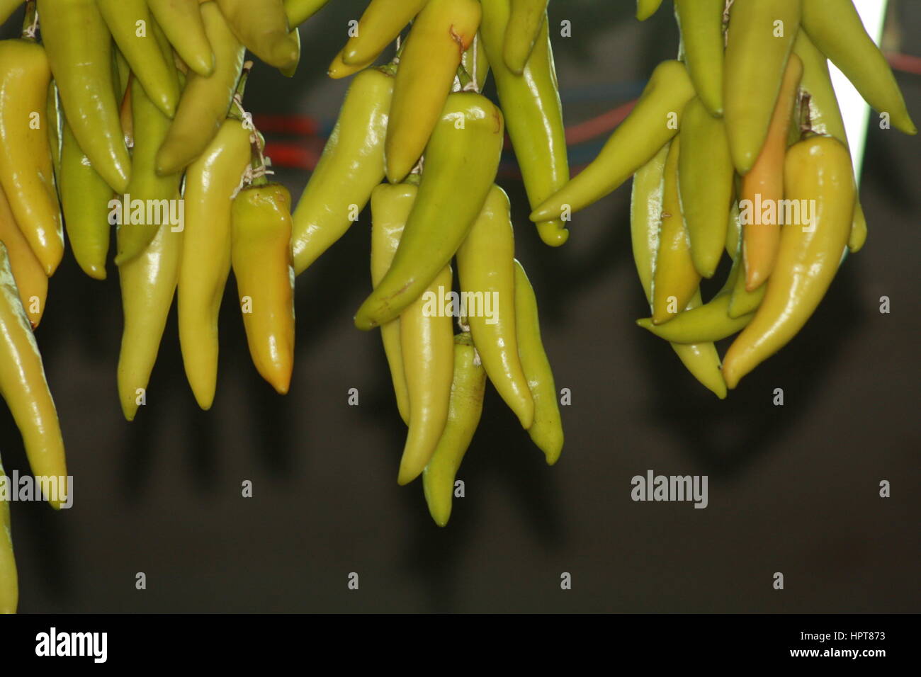 Hanging chilli hi-res stock photography and images - Alamy
