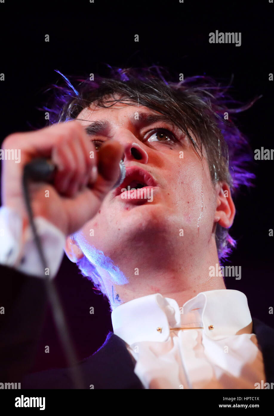British musician pete doherty hi-res stock photography and images - Alamy