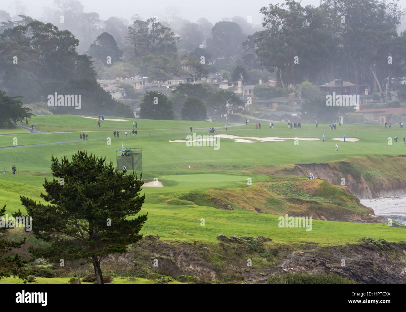 February 10th 2017, Pebble Beach, California, USA; Taking in the view ...