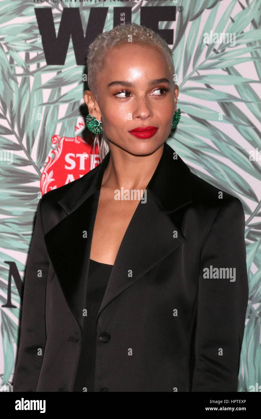 Los Angeles, CA, USA. 24th Feb, 2017. Zoe Kravitz at arrivals for Women ...