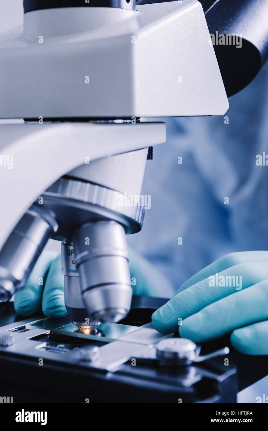 Close up view of scientist hands with gloves set the sample in the ...