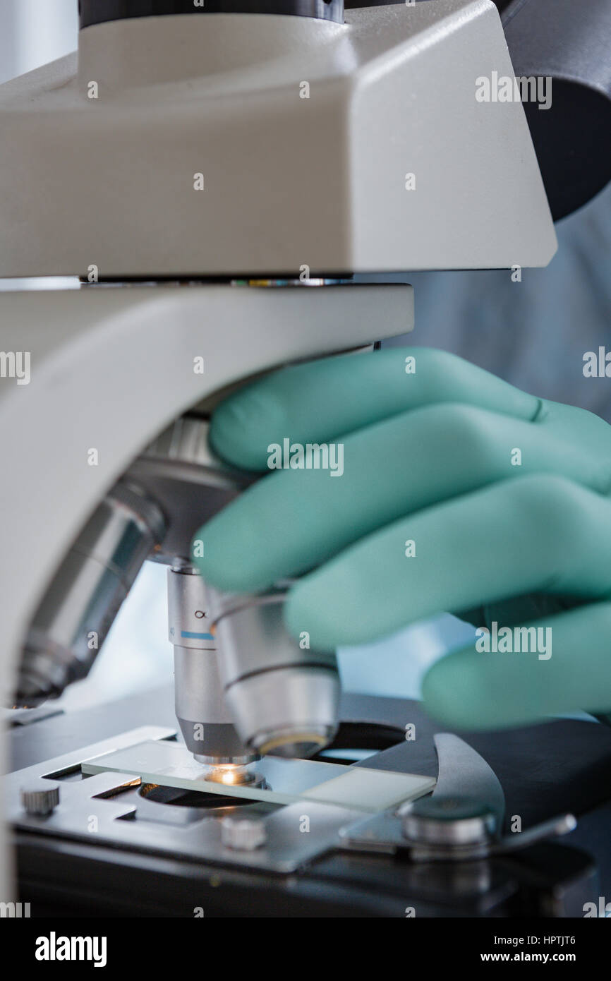 Close up scientist hands gloves hi-res stock photography and images - Alamy