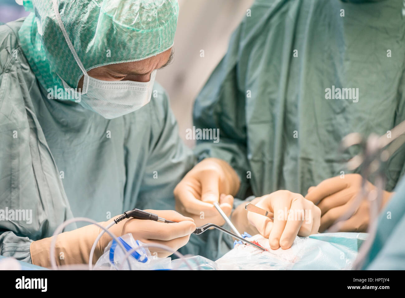 Cranium hi-res stock photography and images - Alamy