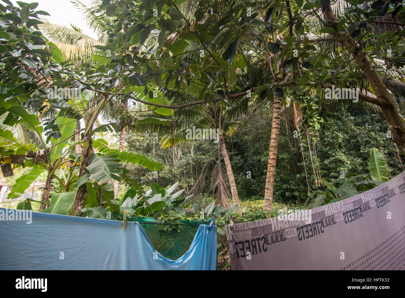 drying clothes on a line Stock Photo - Alamy