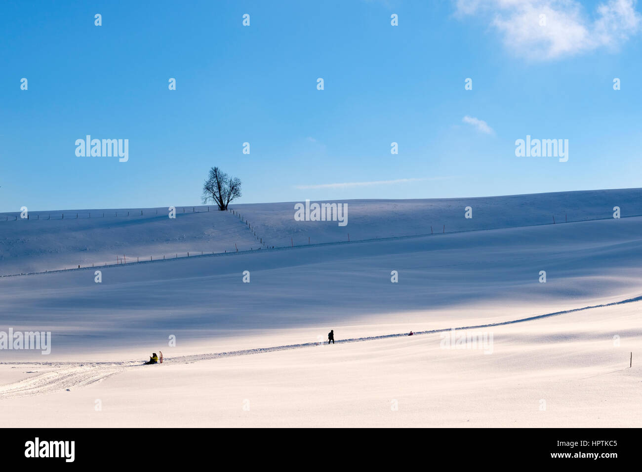 Germany, Buchenberg, people in winter landscape Stock Photo - Alamy