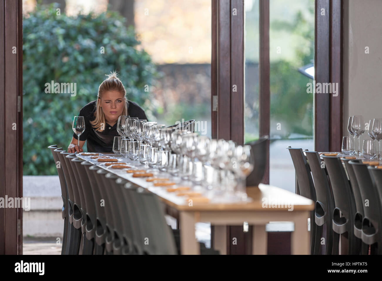 Waitress lining up row of wine glasses at restaurant Stock Photo - Alamy