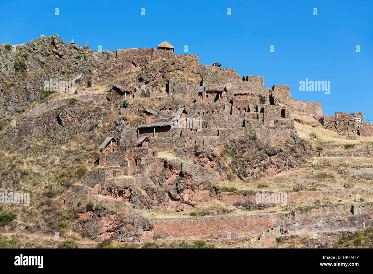 Peru, Andes, Valle Sagrado, Inca ruins of Pisac, terraces of Andenes ...